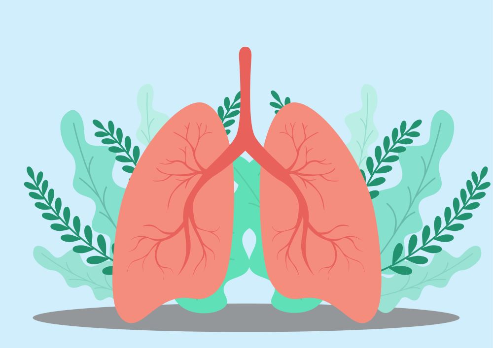 Pulmonary Rehabilitation: Optimal Respiratory Wellness